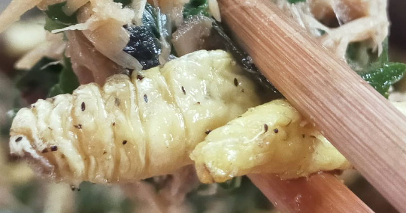 Este plato tan codiciado podría enviar a muchas personas a la sala de ...