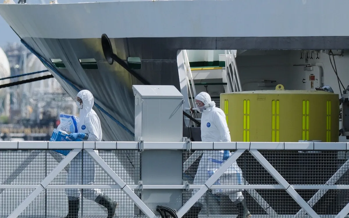 Point de situation sur l'épidémie de hantavirus liée à un navire de ...