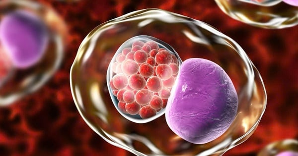 5 Warning Signs of Chlamydia Infection in Women: Early Recognition for ...