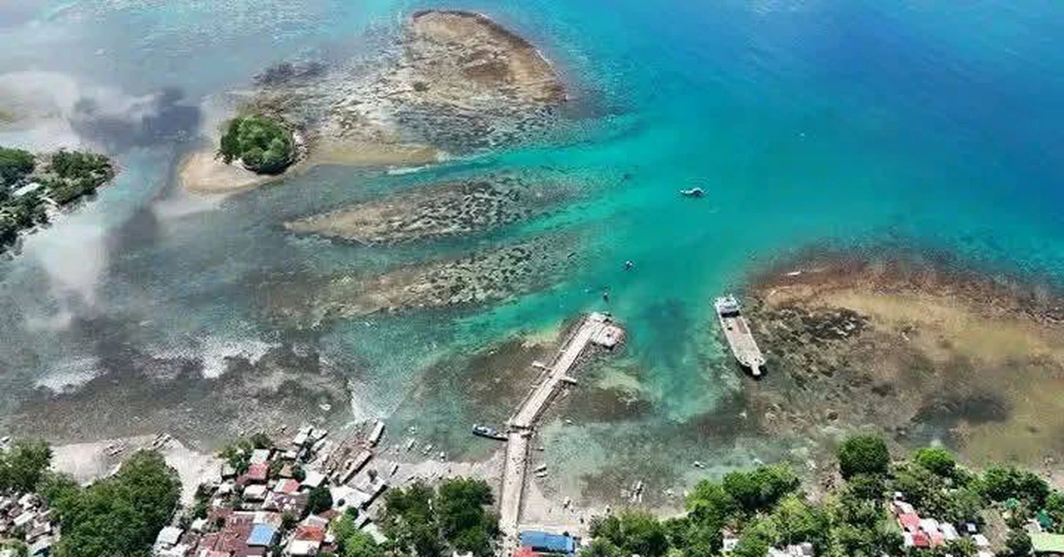 Seabed rises 2 meters after devastating earthquake in the Philippines.