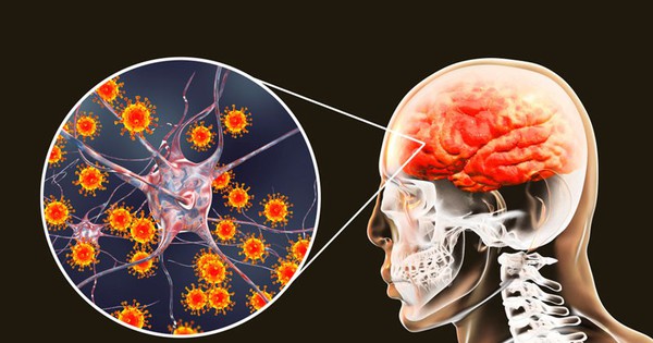 Hanoi records a case of Japanese encephalitis; proactive disease ...