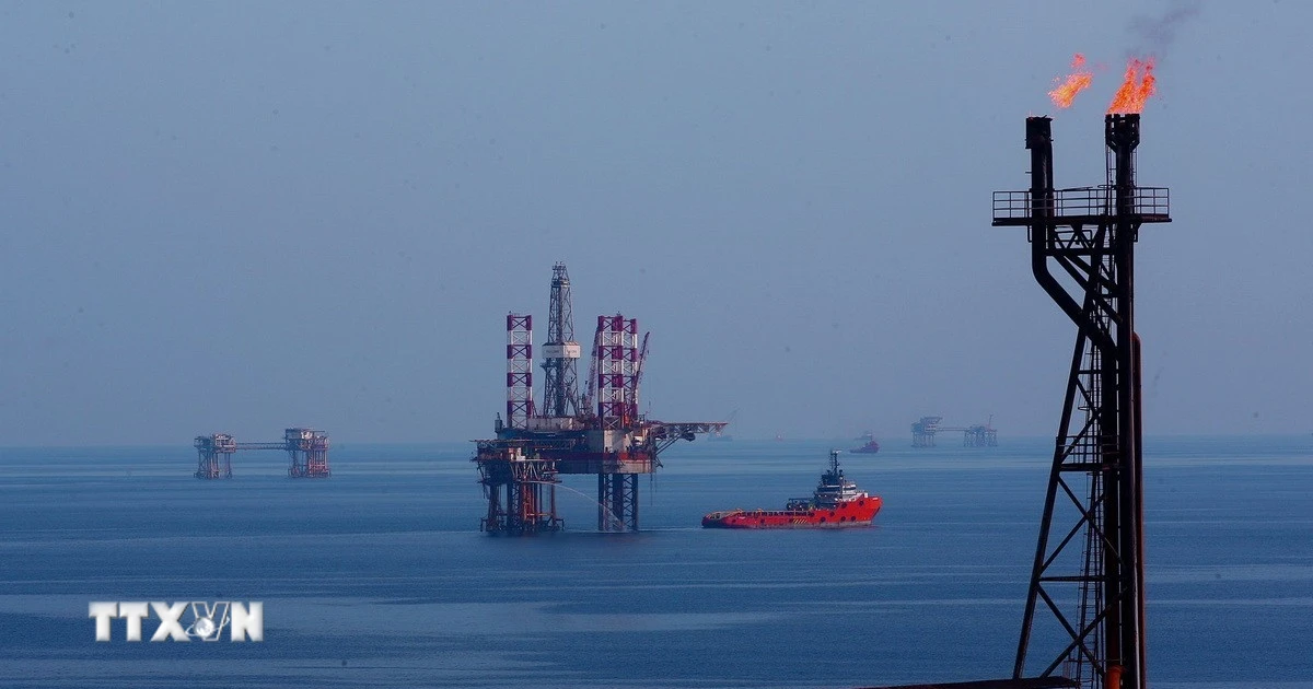Vietnam National Energy and Industry Corporation adopts OECD risk ...