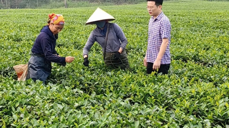 A newly merged commune in the mountainous region of Ha Tinh province ...