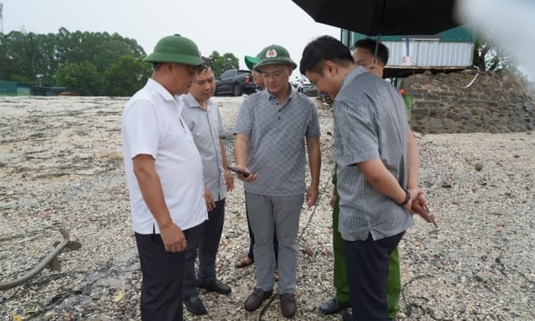 Kiểm tra tình hình nuôi hàu tại phường Móng Cái 1