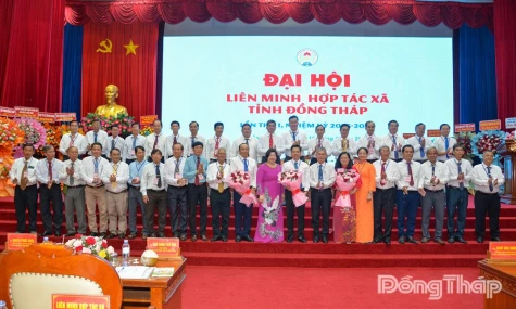 Kamerad Le Quang Cuong menjabat sebagai Ketua Serikat Koperasi Provinsi ...