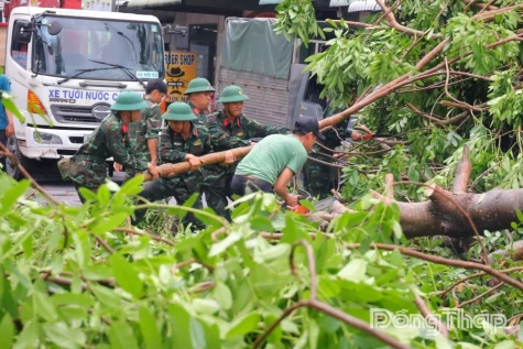 Dong Thap: Urgent measures needed to mitigate the consequences of ...