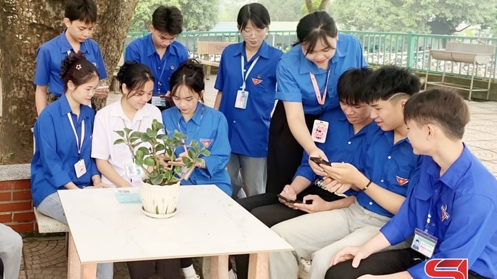 The youth of Muong Bu are at the forefront in implementing emulation ...