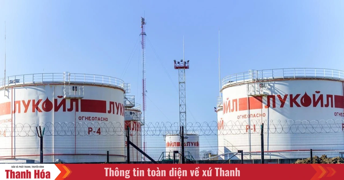 Nga xem xét cấm xuất khẩu dầu diesel