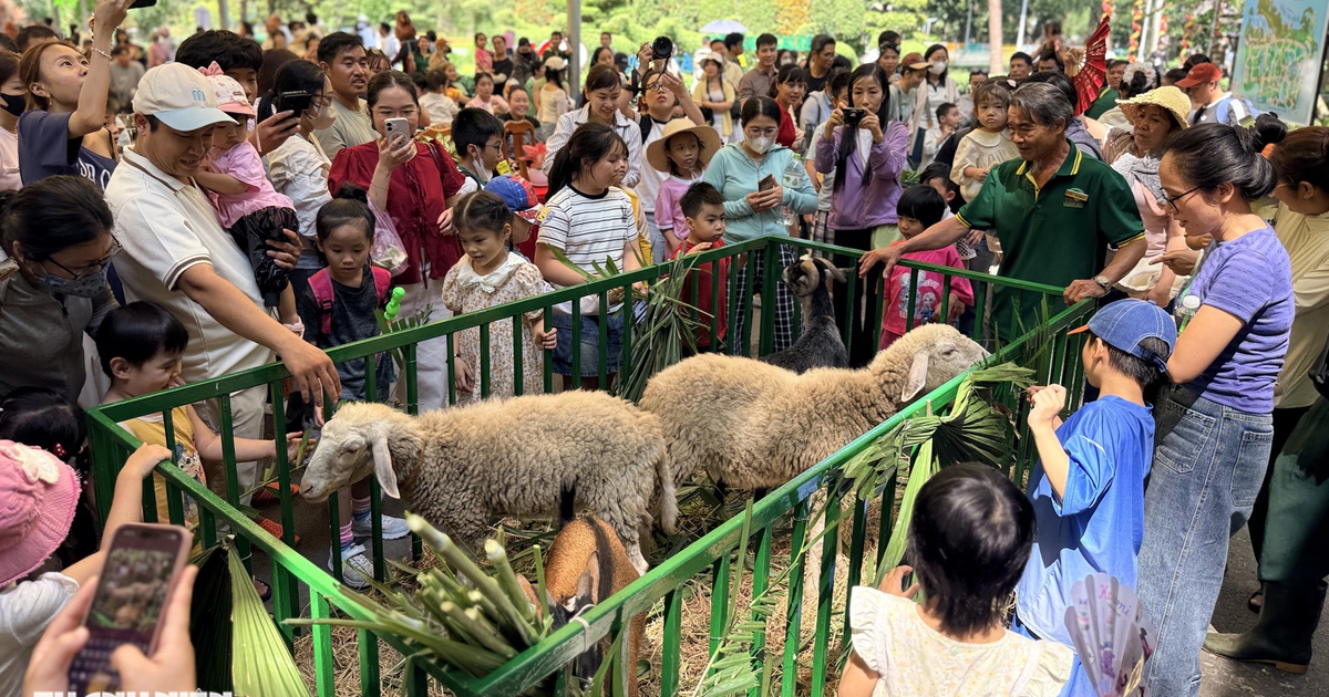 What fun things are happening at the zoo on September 2nd, and who is ...