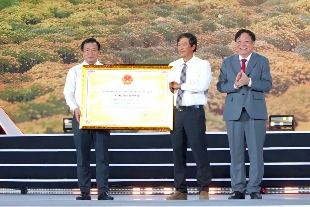 The Sa Dec flower and ornamental plant cultivation profession is a ...