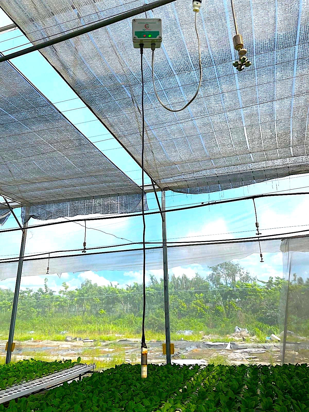 Growing vegetables without soil, tending the garden remotely.
