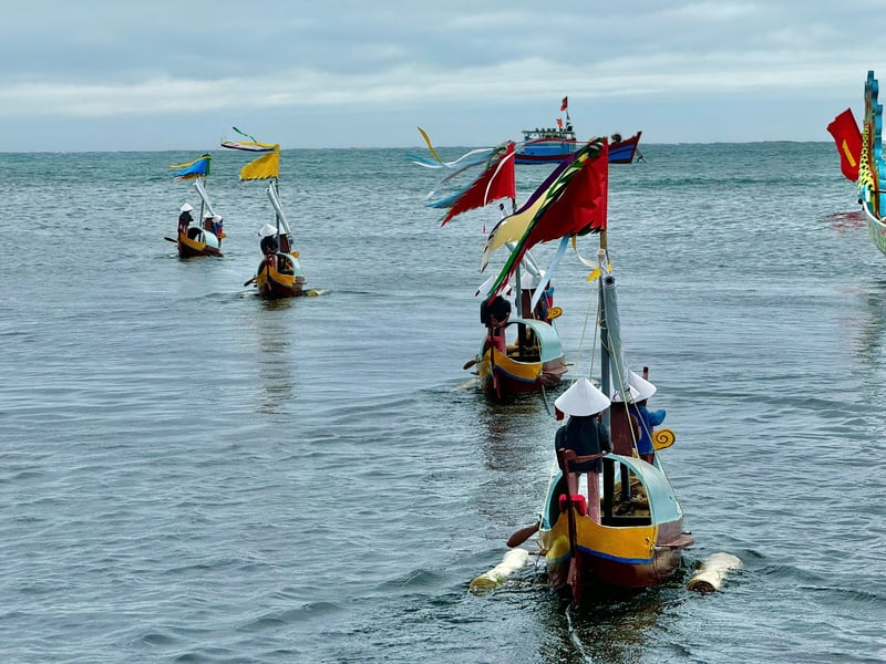 Experts offer suggestions to help Ly Son Island become a national ...