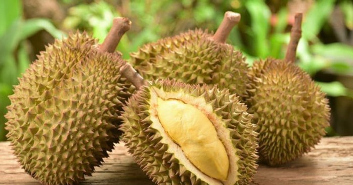 Durian prices today, December 29th: Ri6 durian prices surge by 8,000 ...