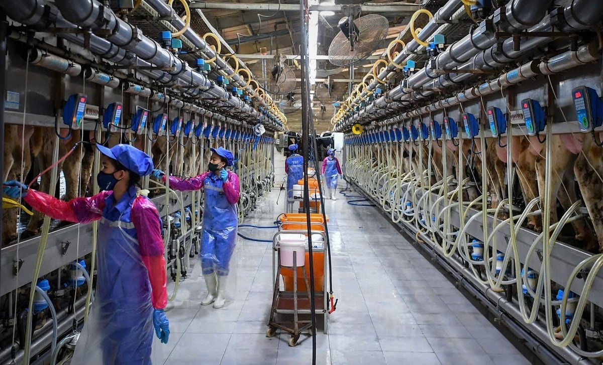 High-tech agriculture opens a green growth axis along the Ho Chi Minh ...