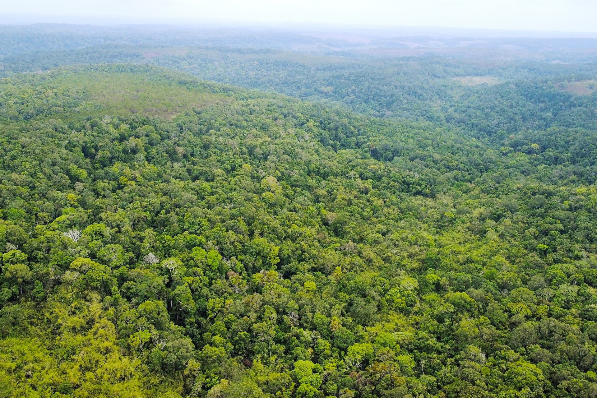 "Bright spots" in forest conservation in the Southern Central Highlands