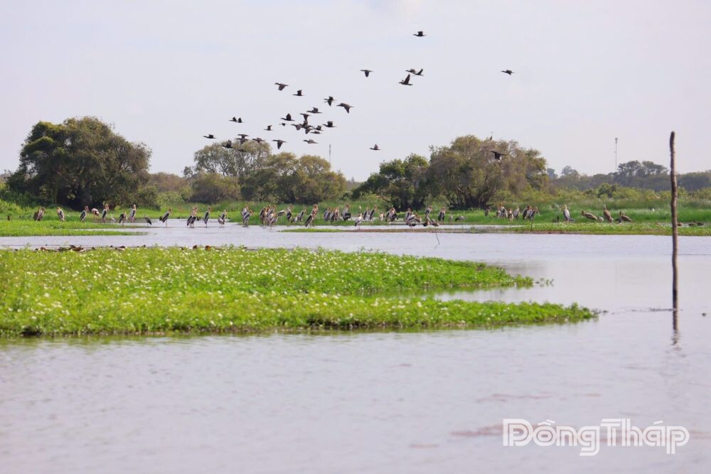 Dried striped snakehead fish and the scent of sunshine linger in the ...