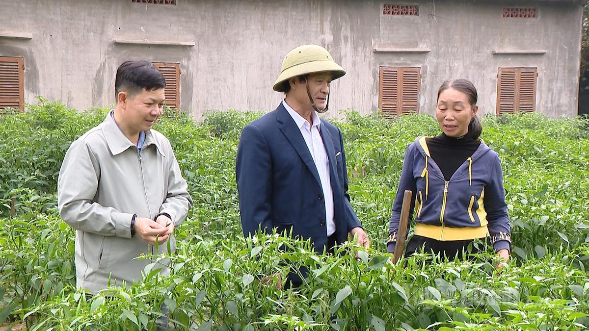 Son Thuy is stepping up its communication efforts to "reduce ...