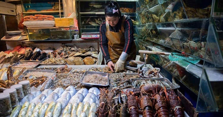 Seafood logistics: Shipping live lobsters to China.