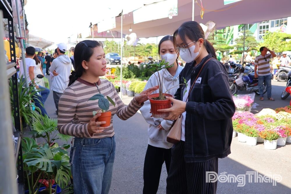 The bustling Sa Dec Flower and Ornamental Plant Market – A place ...