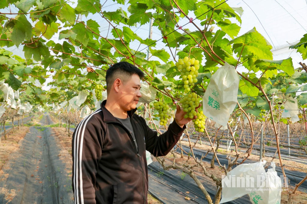 High technology drives sustainable agricultural development.