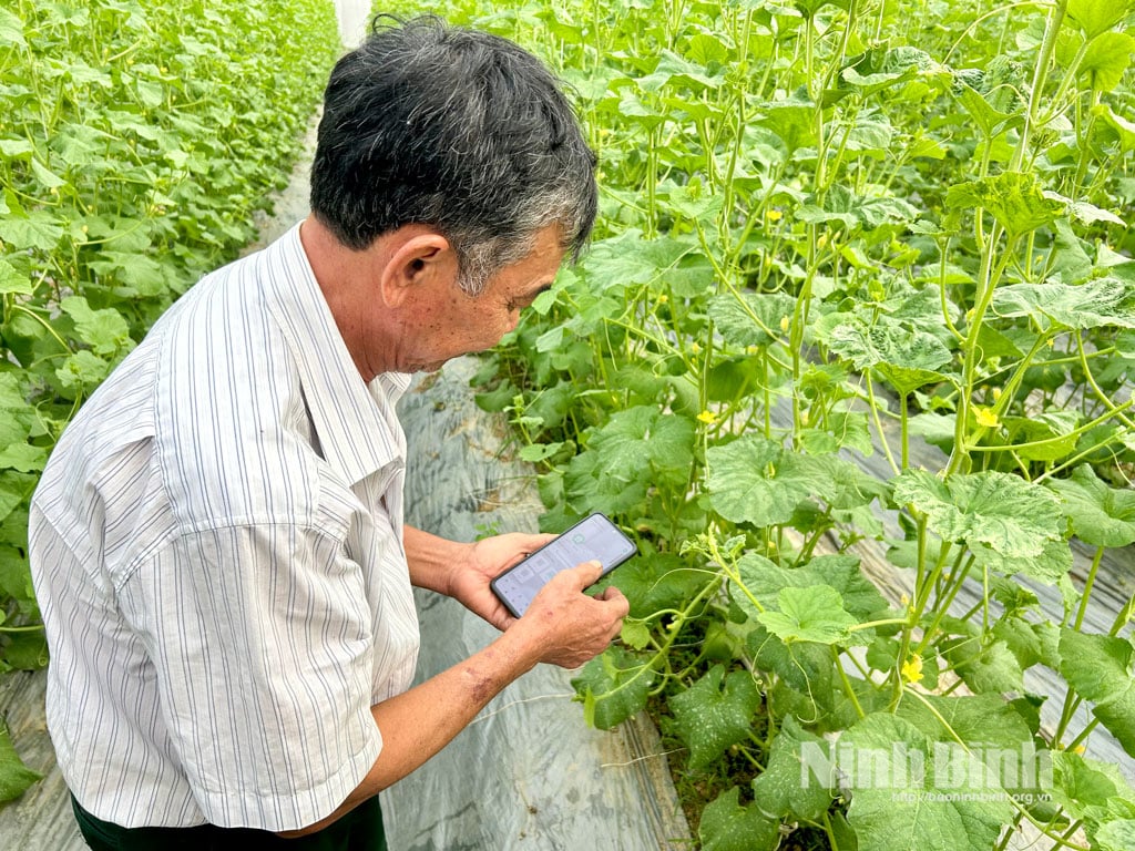 High technology drives sustainable agricultural development.