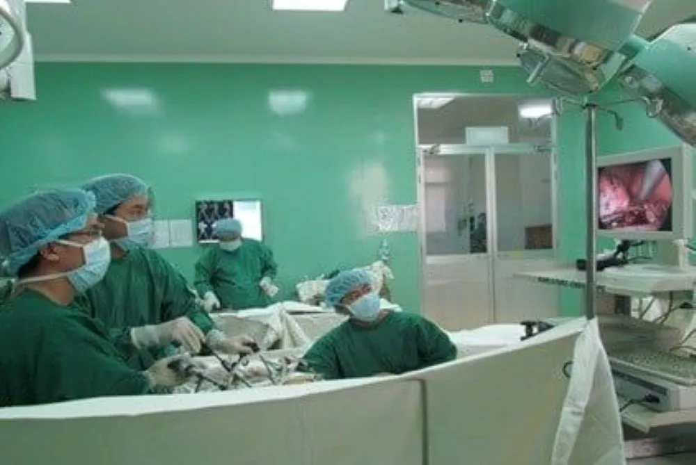 First endoscopic resection of renal arteriovenous fistula